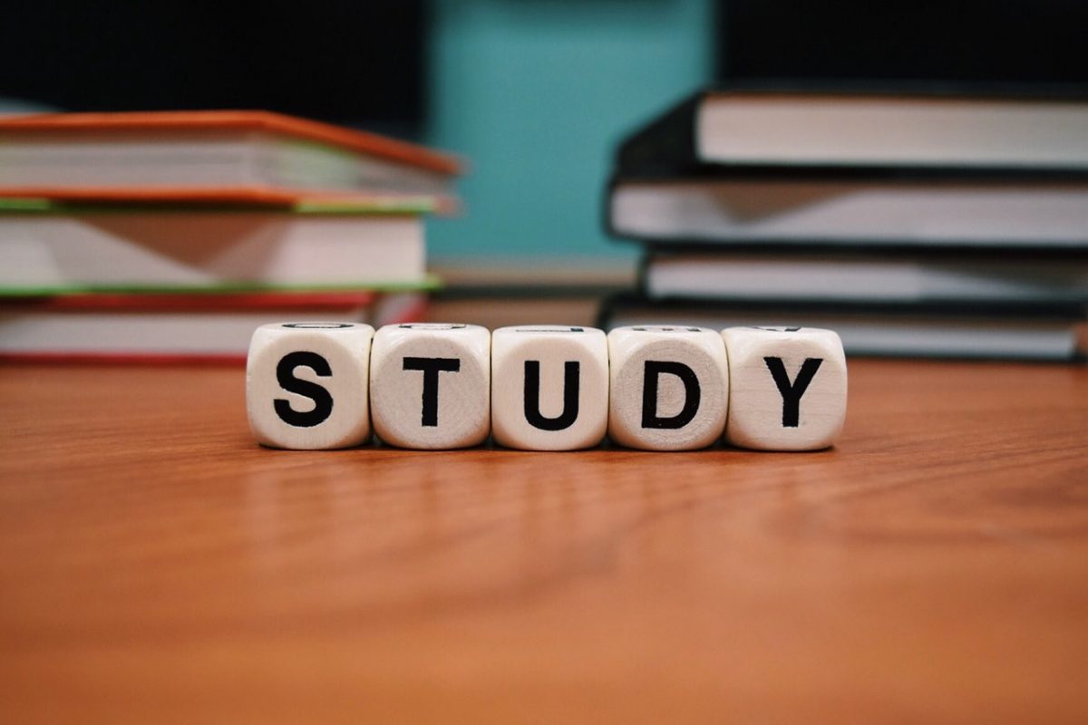 PLAN FOR SUCCESS: HOW TO CREATE A STUDY PROGRAM - Study Guide